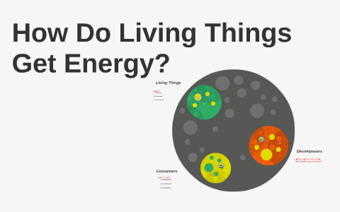 How Do Living Things Get Energy? by Kenneth Quazza on Prezi