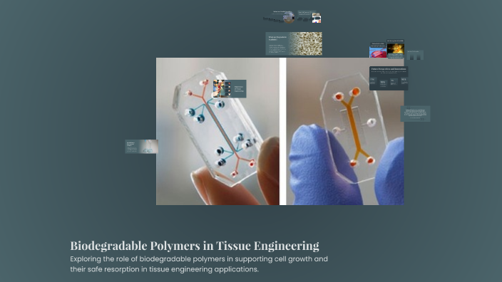 Biodegradable Polymers in Tissue Engineering by Abdelrahman Elsayed on ...