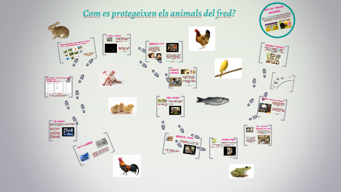 Com es protegeixen els animals del fred? by on Prezi