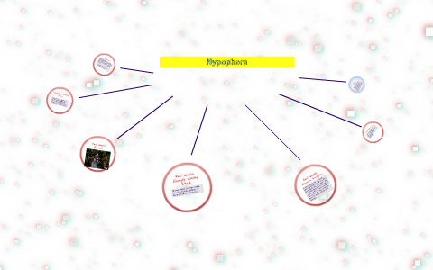Hypophora by Jordan Altshul on Prezi