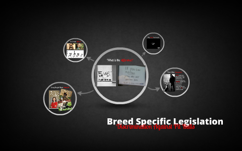 Ban Breed Specific Legislation by Sabrina Saunders on Prezi