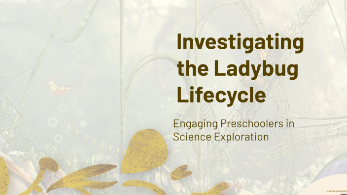 Investigating the Ladybug Lifecycle by Nazneen Akhter on Prezi