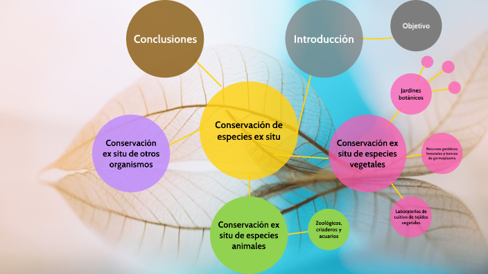 Conservación de especies ex-situ by Julady Elizabeth on Prezi
