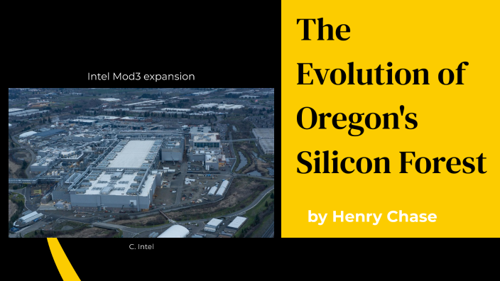 The Evolution of the Silicon Forest by Stephanie Chase on Prezi