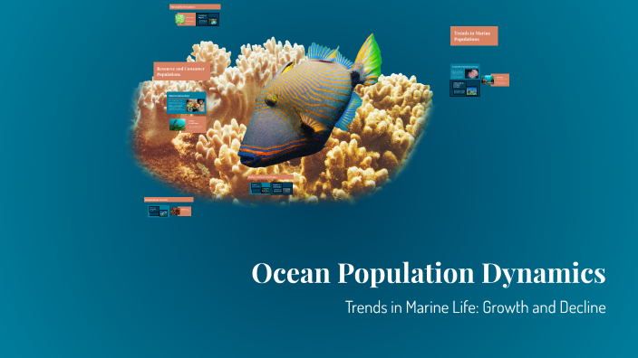 Ocean Population Dynamics by Ayaan Siddiqui on Prezi