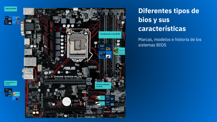 Diferentes tipos de bios y sus características by AlexisRYT on Prezi