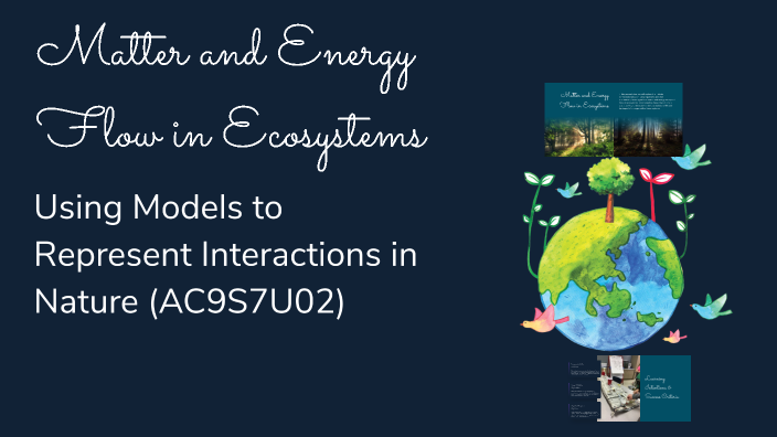 Matter and Energy Flow in Ecosystems by Rachel Hamilton on Prezi