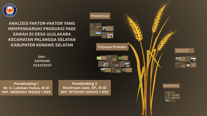 ANALISIS FAKTOR-FAKTOR YANG MEMPENGARUHI PRODUKSI PADI SAWAH by SATRIANI BAHAR on Prezi