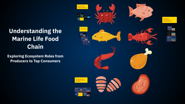 Understanding the Marine Life Food Chain by Rocco Anastasia on Prezi