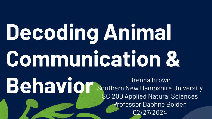 Decoding Animal Communication & Behavior by Brenna Brown on Prezi