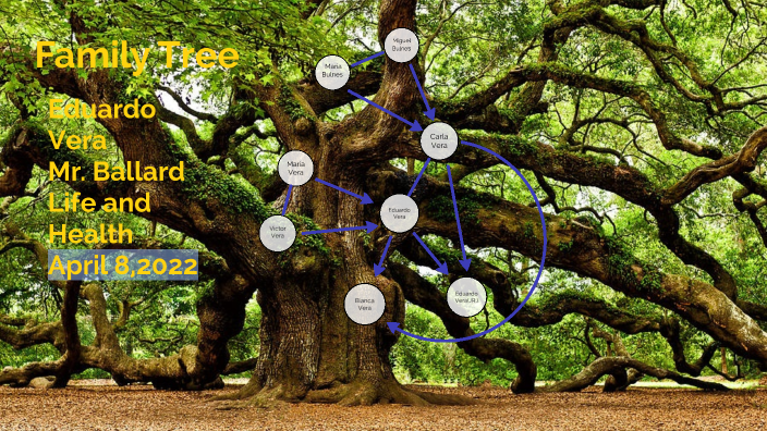 Family Tree Presentation by Eduardo Vera on Prezi
