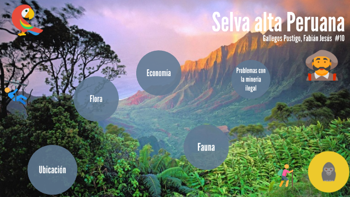 Selva alta peruana by Alumnos Colegio claret SSJ on Prezi