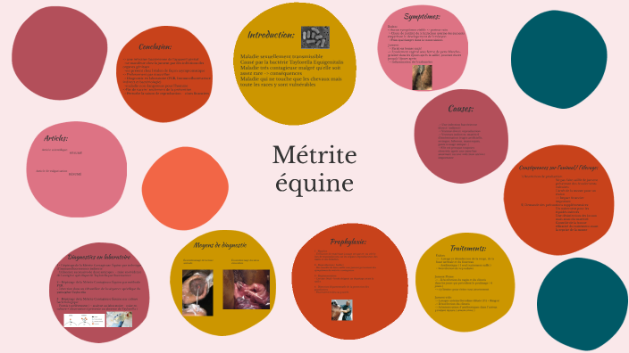 Métrite équine by Lou MALIC0T on Prezi