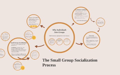 The Small Group Socialization Process by celeste allen on Prezi