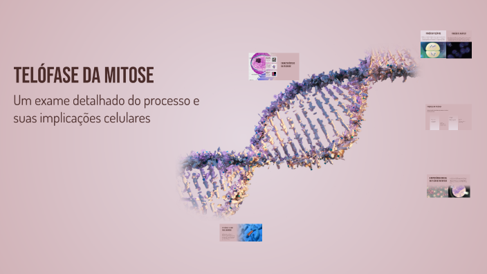 Telófase da Mitose by helo on Prezi
