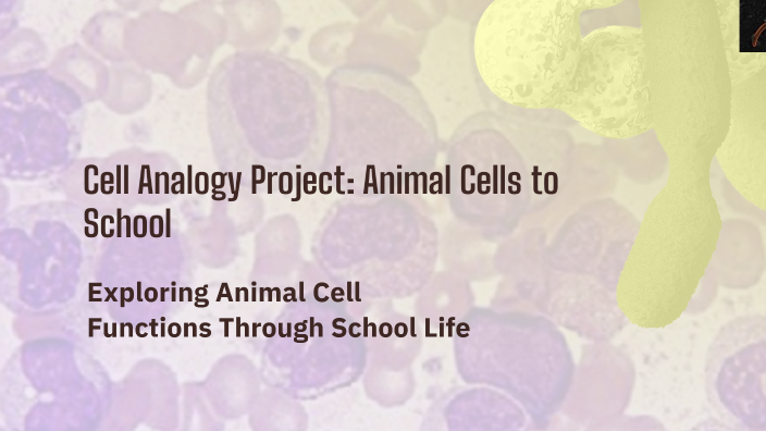 Cell Analogy Project: Animal Cells to School by Hunter Burruss on Prezi