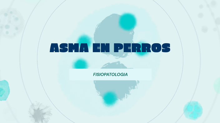 ASMA EN PERROS by DANIELA MARTINEZ on Prezi