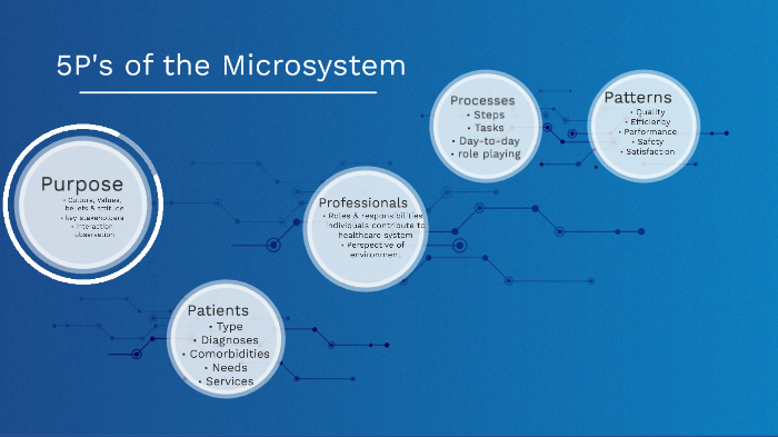 5P's of the Microsystem by Sami Kroll on Prezi