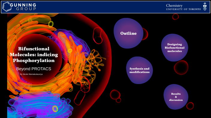 Bifunctional molecules: inducing phosphorylation by Nicole W on Prezi