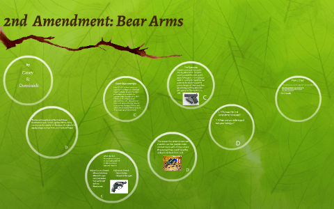 2nd Amendment: Bear Arms by Kc Clohesy on Prezi