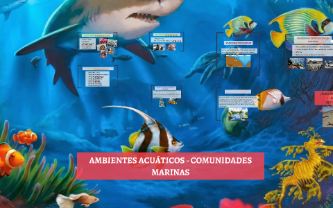 AMBIENTES ACUÁTICOS - COMUNIDADES MARINAS by Angela Gomez on Prezi