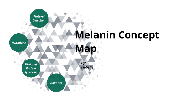 Melanin Concept Map by Isabelle Chen on Prezi