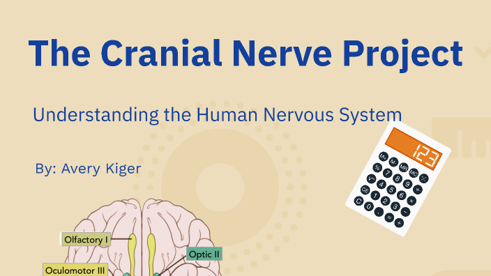 Cranial Nerve Project by Avery Kiger _ Student - ApexFriendsh on Prezi