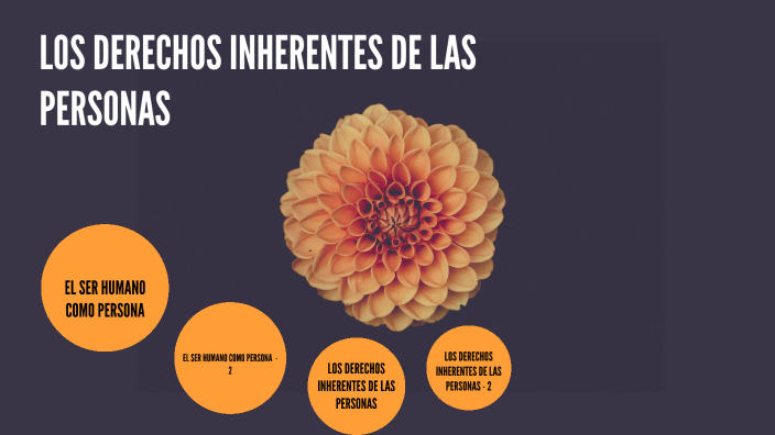 El ser humano como persona y derechos inherentes de las personas ...