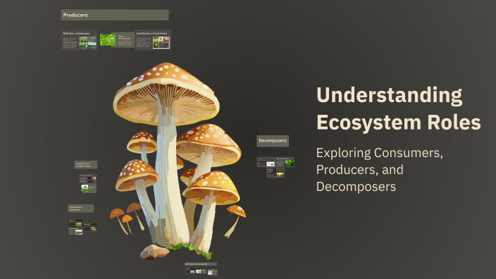 Understanding Ecosystem Roles by hassan mortada on Prezi