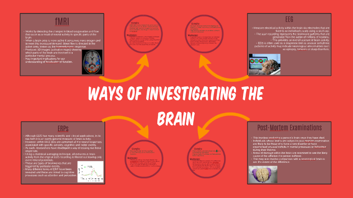 Ways of Investigating the Brain by Rachel D on Prezi