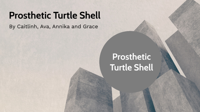 Prosthetic Turtle Shell by Caitlinh Nguyen on Prezi