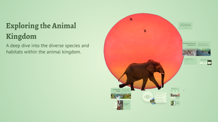 Exploring the Animal Kingdom by Raphaël Doreleijers on Prezi