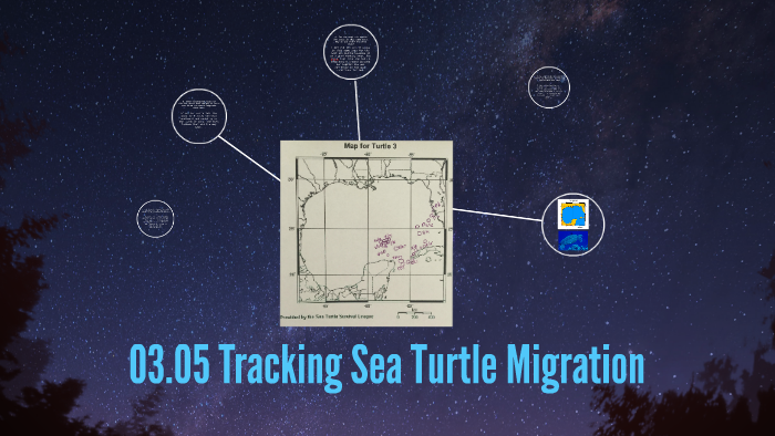 03.05 Tracking Sea Turtle Migration by Aimee Tatum on Prezi
