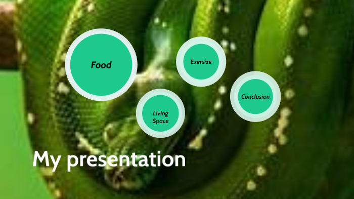 Python presentation by Logan Wolff on Prezi