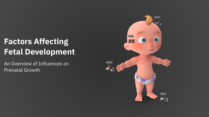 Factors Affecting Fetal Development by Дашдэжид Дагдандорж on Prezi