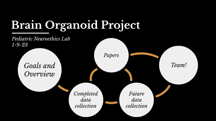 Brain Organoid Project by Kate Macduffie on Prezi
