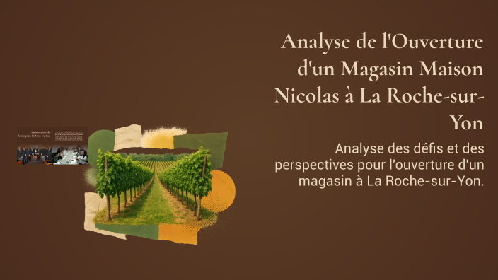Analyse de l'Ouverture d'un Magasin Maison Nicolas à La Roche-sur-Yon ...