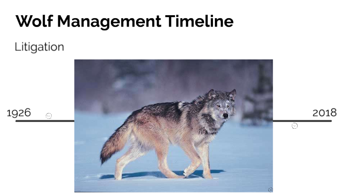 Wolf Management Timeline by Bradley Tinker on Prezi