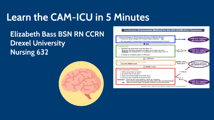 CAM-ICU Assessment by Elizabeth Bass on Prezi