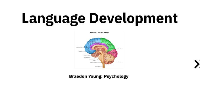 Language Development by Braedon Young on Prezi