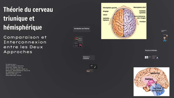 Théorie du cerveau triunique et hémisphérique by Amine Agnaou on Prezi