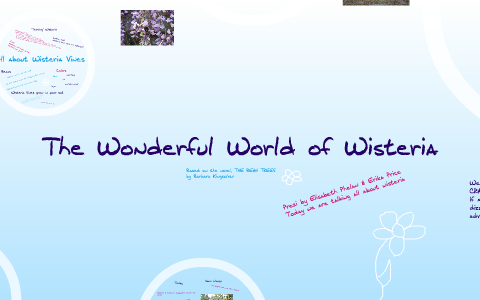 Wisteria Research Project on The Bean Trees by Erika P on Prezi