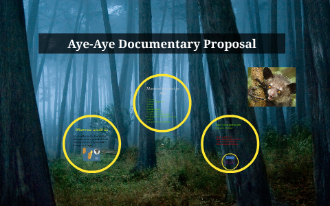 Aye-Aye Documentary Proposal by Aaron Buller on Prezi