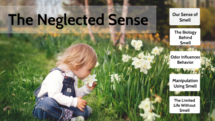 The Neglected Sense by sharon zipori on Prezi