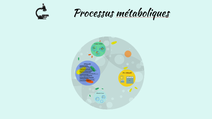 Processus métaboliques by Sara F. on Prezi