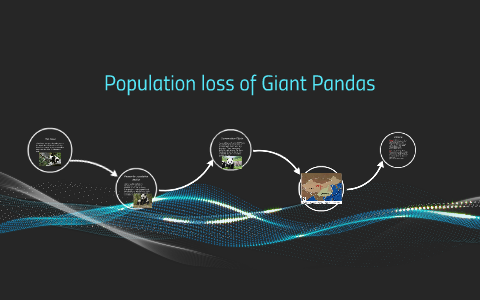 Population loss of Giant Pandas by Matthew Carpenter