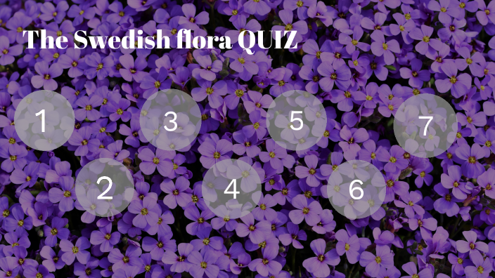 Swedish flora by Anna Wendin on Prezi