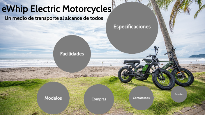 eWhip Sales by Carol Romero Montero on Prezi