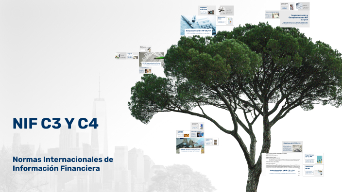 NIF C3 Y C4 by MELISA TORIBIO on Prezi