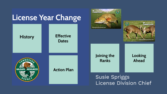License Year Change by Susie Spriggs on Prezi
